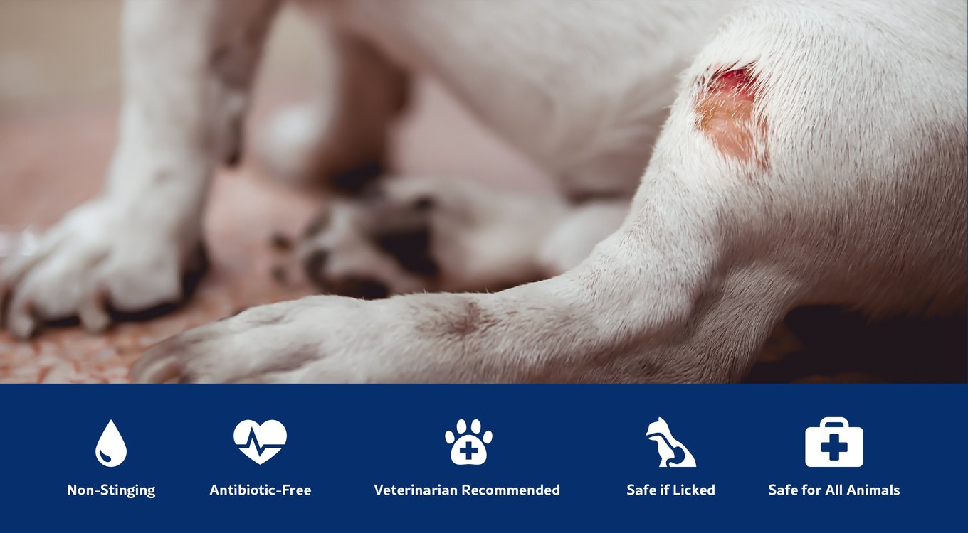 Vetericyn Plus Antimicrobial Wound & Skin Care Pet Spray | Chewy (Free ...