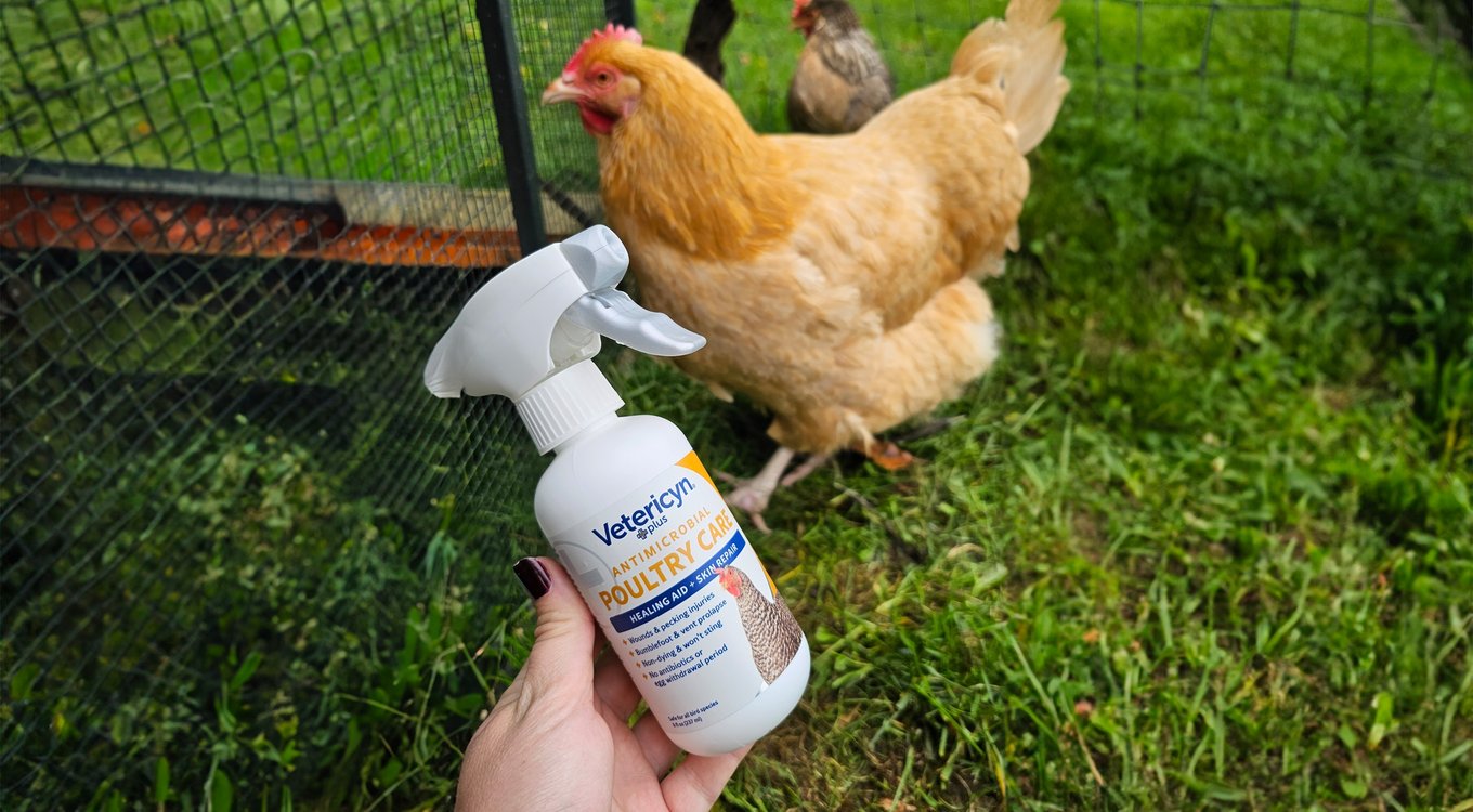 VETERICYN Plus Antimicrobial Poultry Care Spray, 8-fl oz bottle - Chewy.com