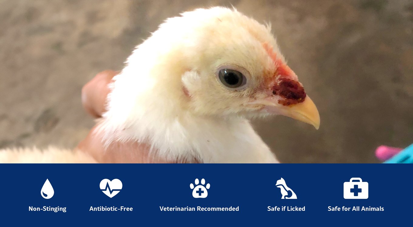 VETERICYN Plus Antimicrobial Poultry Care Spray, 8-fl oz bottle - Chewy.com