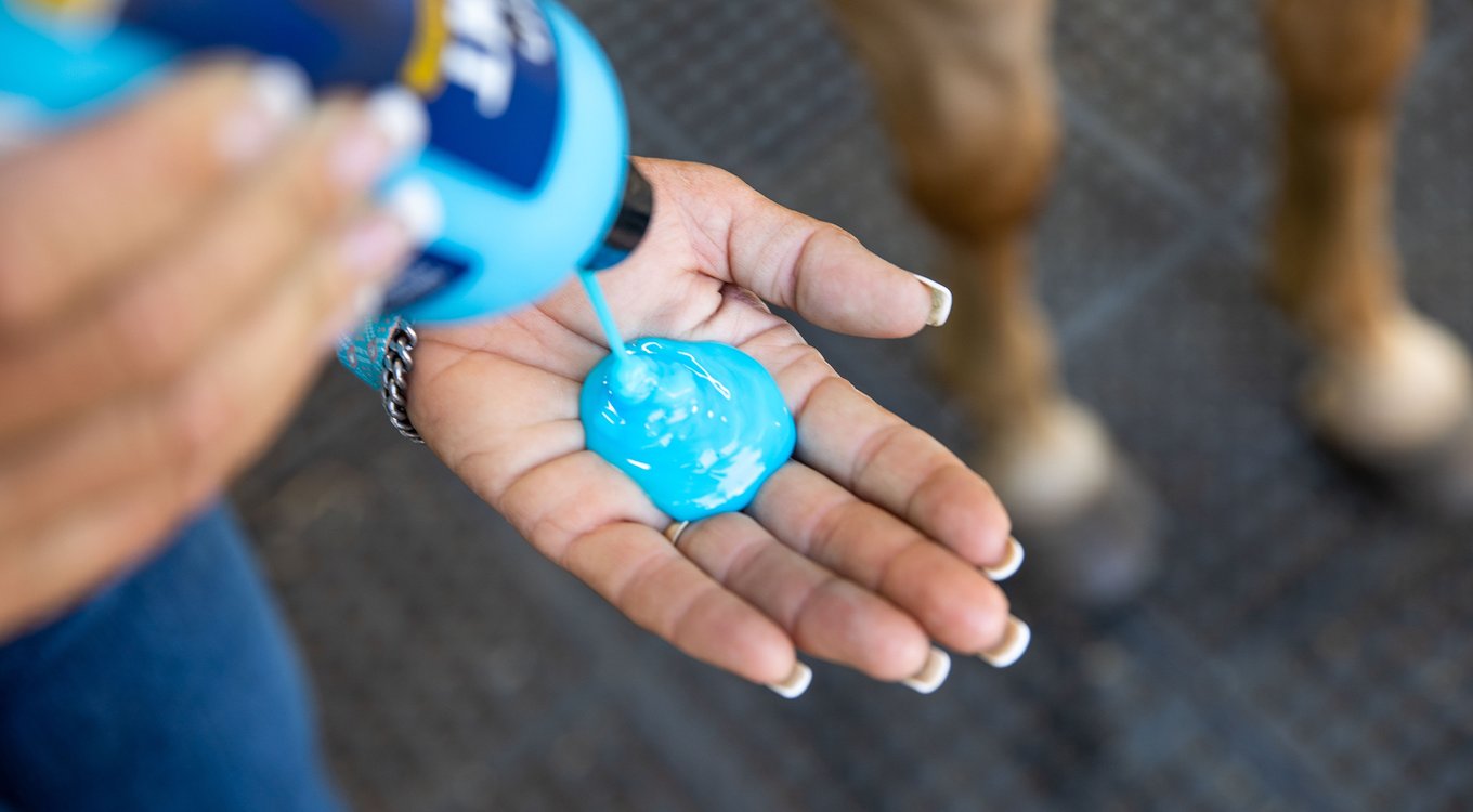 VETERICYN Mobility Liniment Horse Treatment, 16-fl oz bottle - Chewy.com