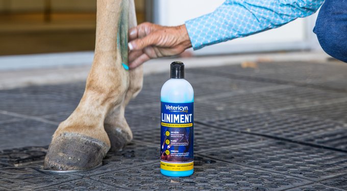 VETERICYN Mobility Liniment Horse Treatment, 16-fl oz bottle - Chewy.com