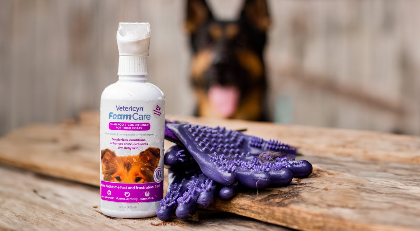 VETERICYN FoamCare Medicated Shampoo for Pets, 16-fl oz spray - Chewy.com