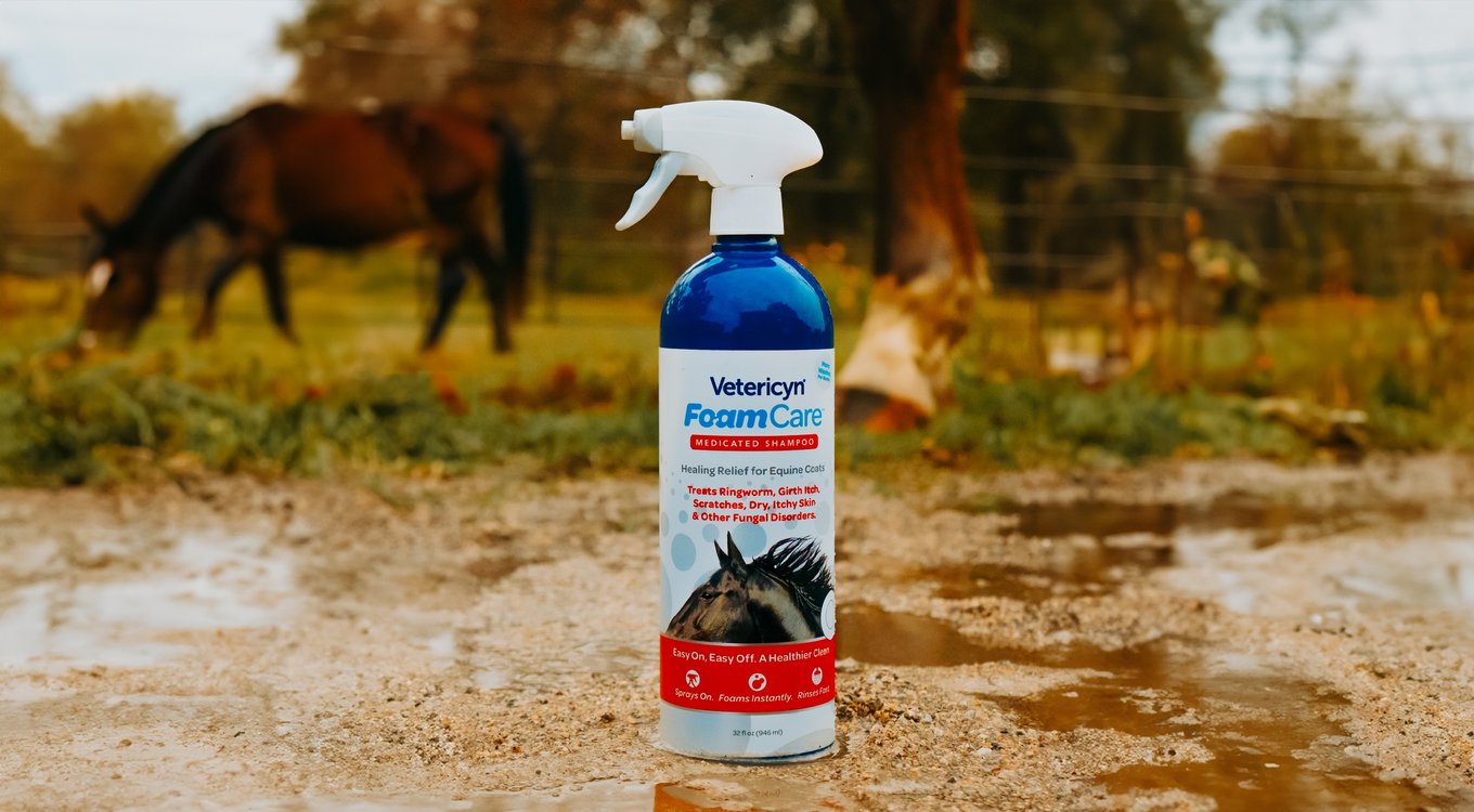 VETERICYN FoamCare Equine Medicated Shampoo, 32-fl oz bottle - Chewy.com