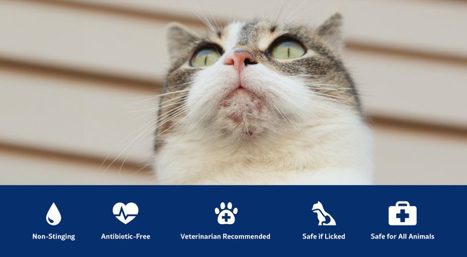 VETERICYN Plus Antimicrobial Feline Facial Therapy for Cat Acne, Eye ...