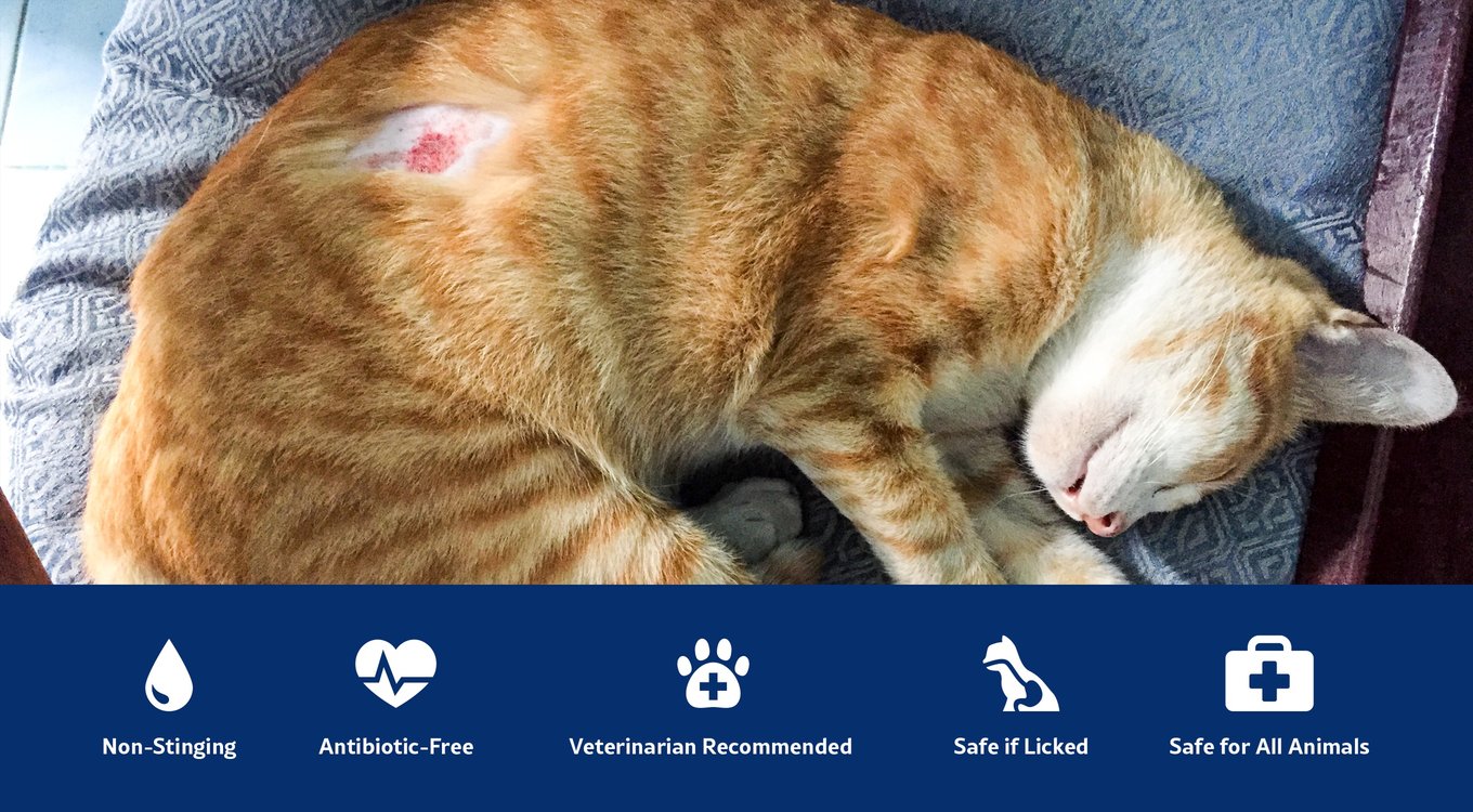 VETERICYN Plus Antimicrobial Cat Wound Care Spray, 3-fl oz bottle ...