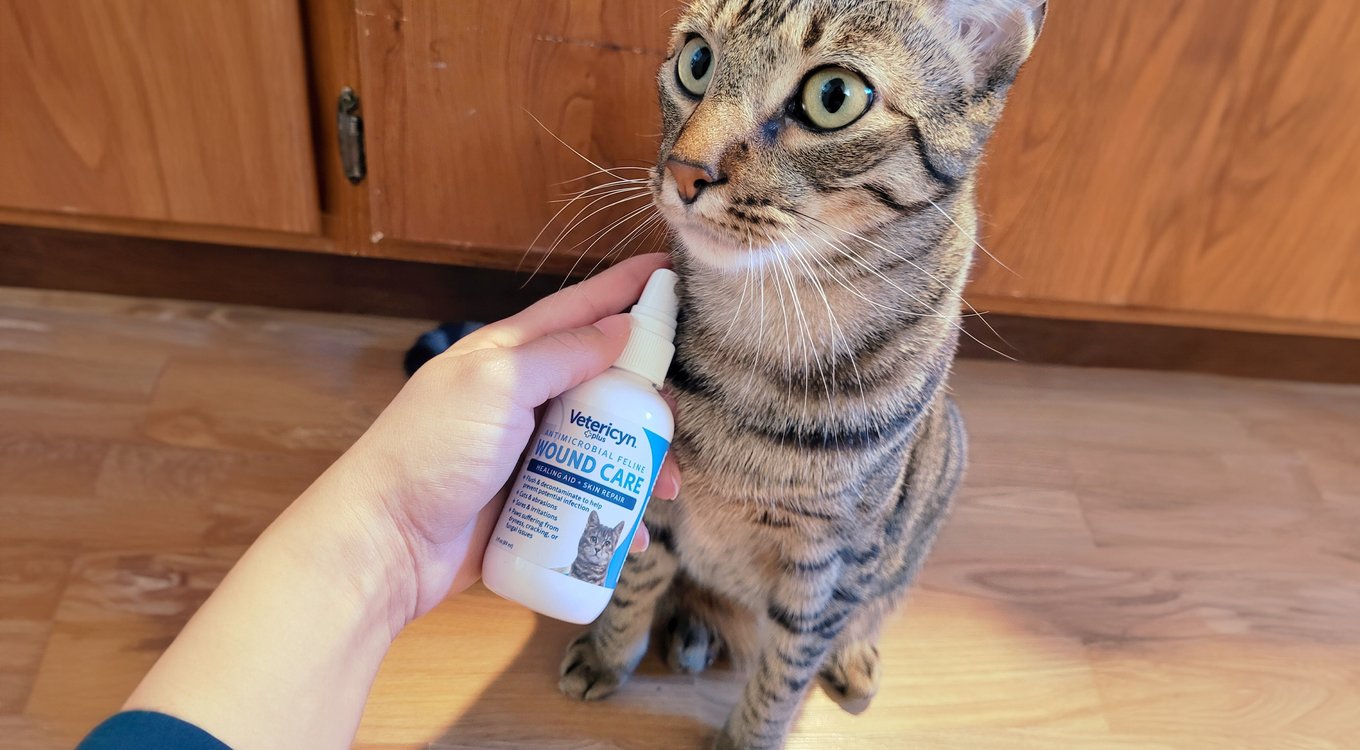 VETERICYN Plus Antimicrobial Cat Wound Care Spray, 3-fl oz bottle ...