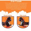 HEATHER'S HEROES The Sidekick Transitional Dog Training Leash, Blue ...