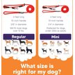 HEATHER'S HEROES The Sidekick Transitional Dog Training Leash ...