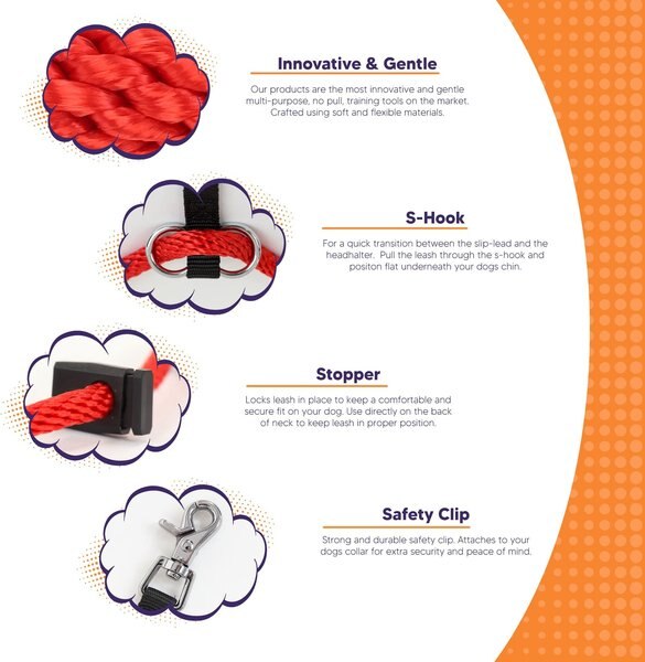 HEATHER'S HEROES The Sidekick Transitional Dog Training Leash, Blue ...