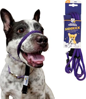 HEATHER'S HEROES The Sidekick Transitional Dog Training Leash, Purple ...