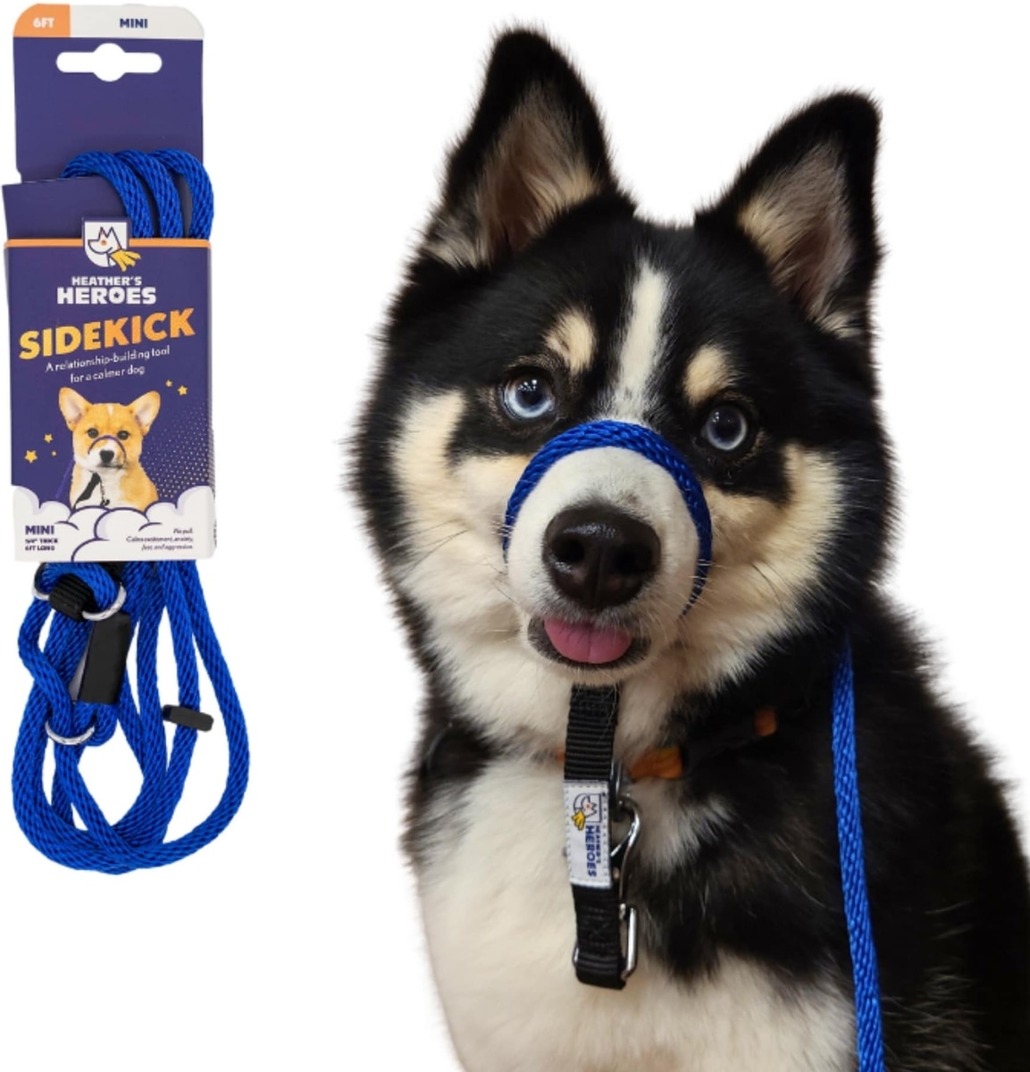 HEATHER'S HEROES The Sidekick Transitional Dog Training Leash, Blue ...
