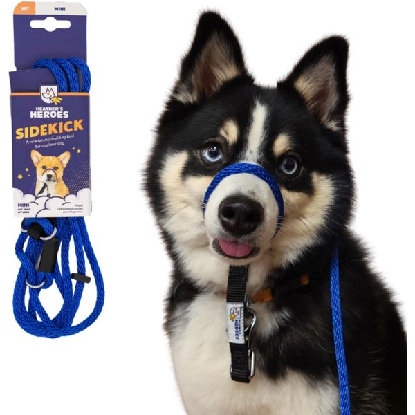 HEATHER'S HEROES The Sidekick Transitional Dog Training Leash, Blue ...