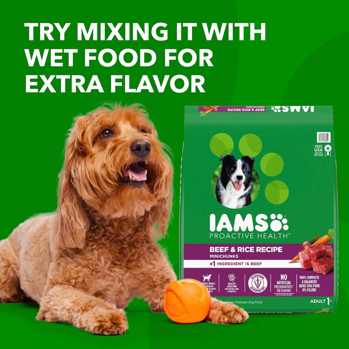 IAMS Proactive Health Minichunks Adult Beef & Rice Recipe Dry Dog Food ...