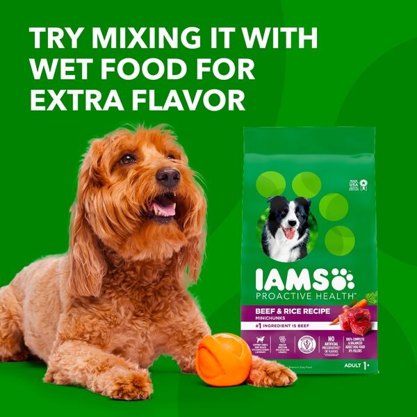 IAMS Proactive Health Beef & Rice Recipe Adult Dry Dog Food, 7-lb bag ...