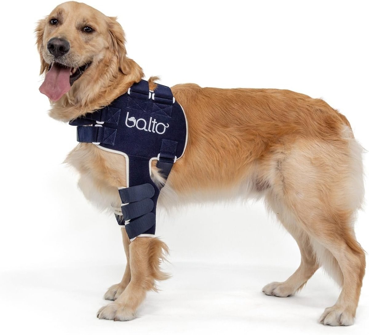 BALTO Lux Dog Shoulder Brace, Large - Chewy.com