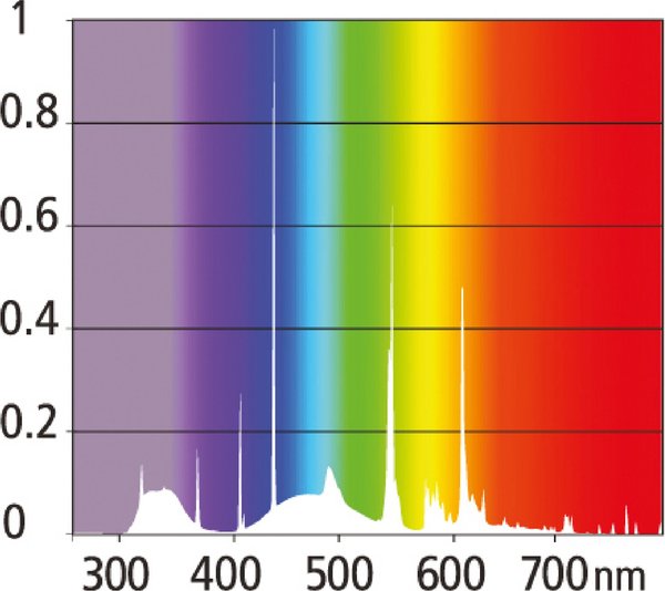 REPTILE SYSTEMS T5 Ferguson Zone 2 6% Forest Reptile Lamp, 24-In, 24 ...