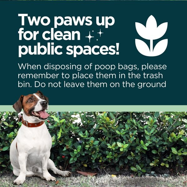 THE ORIGINAL POOP BAGS Countdown USDA Certified Biobased Rolls ...