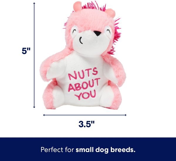 Out of Stock - FRISCO Valentine Squirrel Plush Squeaky Dog Toy, Small ...
