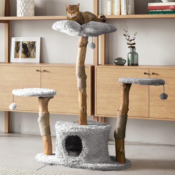 MAU Leone 50-in Modern Wooden Cat Tree & Condo, Gray - Chewy.com