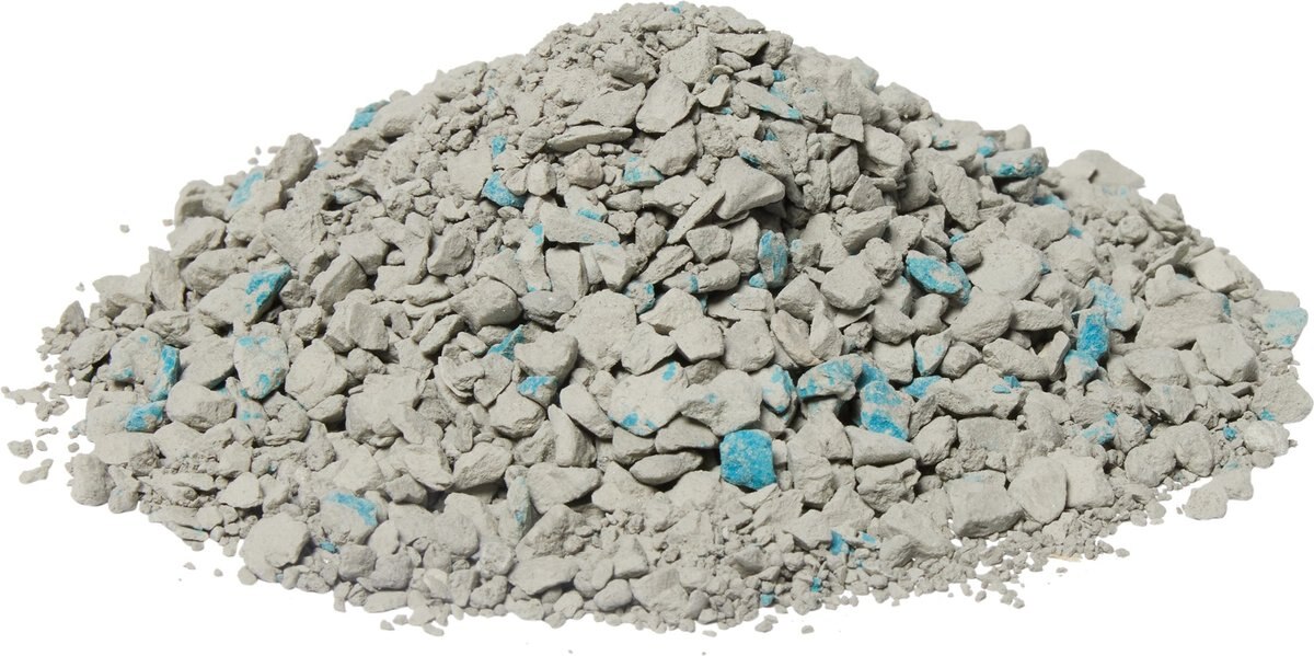 TIDY CATS Instant Action Unscented Non-Clumping Clay Cat Litter, 40-lb ...