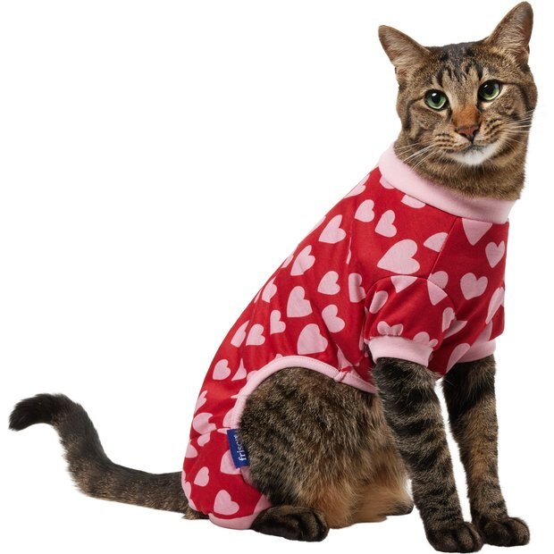 Cat Clothes: Shirts, Sweaters, Jackets & More (Free Shipping) | Chewy