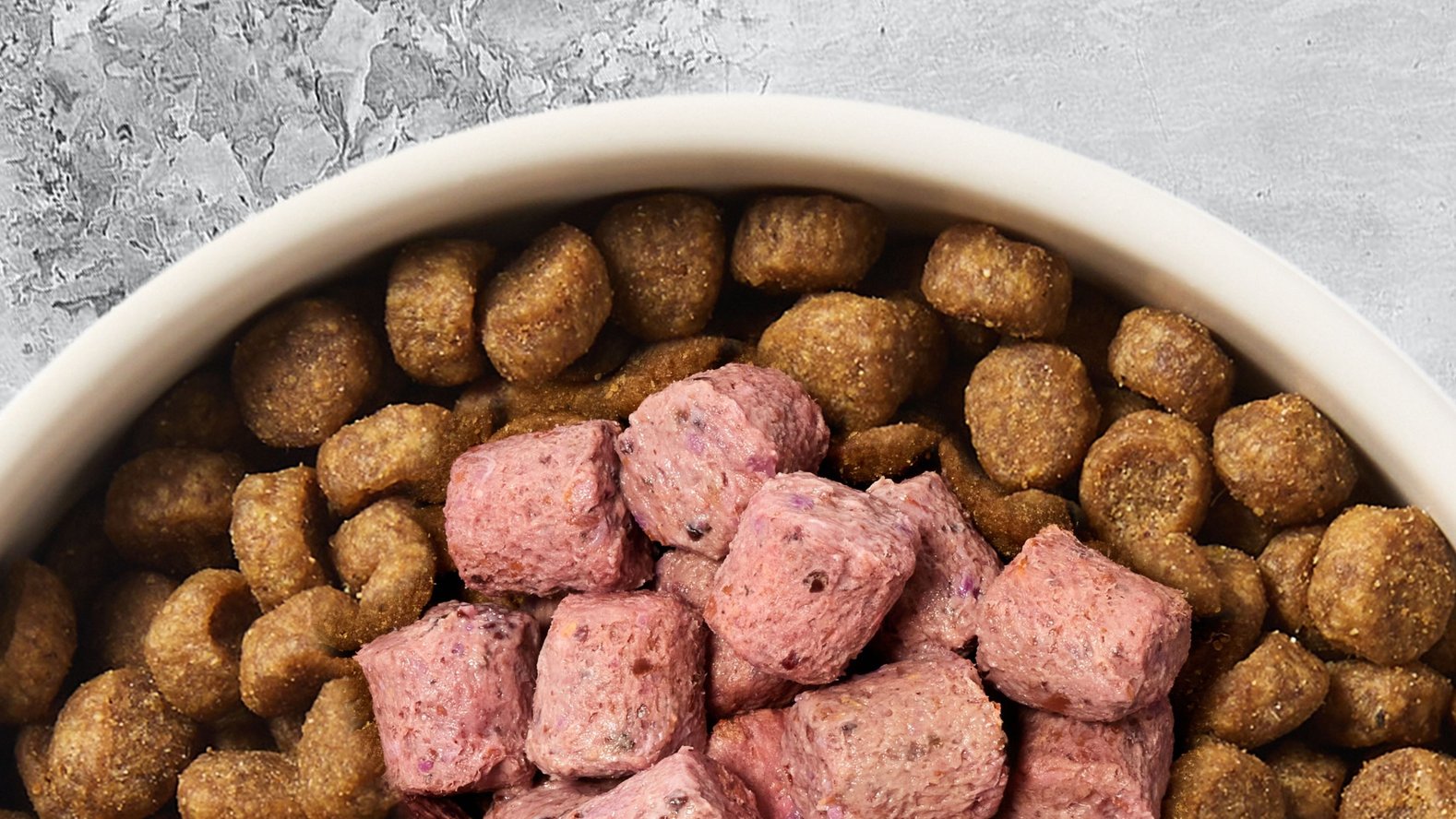 Dog Food: Best Dog Food Brands - Free Shipping | Chewy