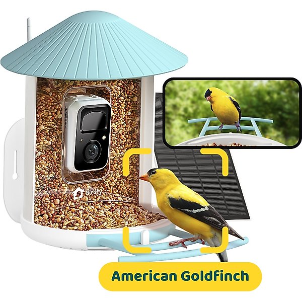 FEATHERSNAP Scout Wi-Fi Solar Powered Camera Smart Bird Feeder, Clear ...