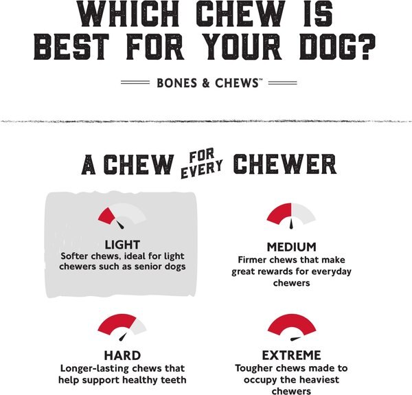 BONES & CHEWS Made in USA Beef Knee Caps Dog Treats, 2 count - Chewy.com