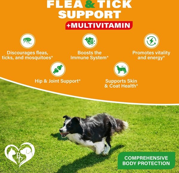 Temporarily Unavailable - BELOVED PETS Natural Flea & Tick Support ...