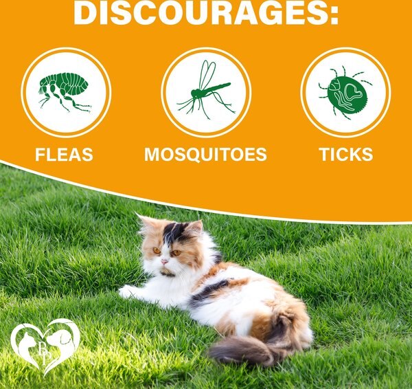 Temporarily Unavailable - BELOVED PETS Flea & Tick Support Chewable ...