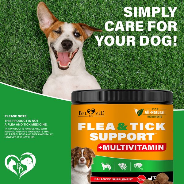 Temporarily Unavailable - BELOVED PETS Natural Flea & Tick Support ...