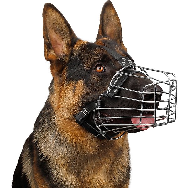 COLLARDIRECT German Shepherd Leather Dog Muzzle, Grey, Medium - Chewy.com