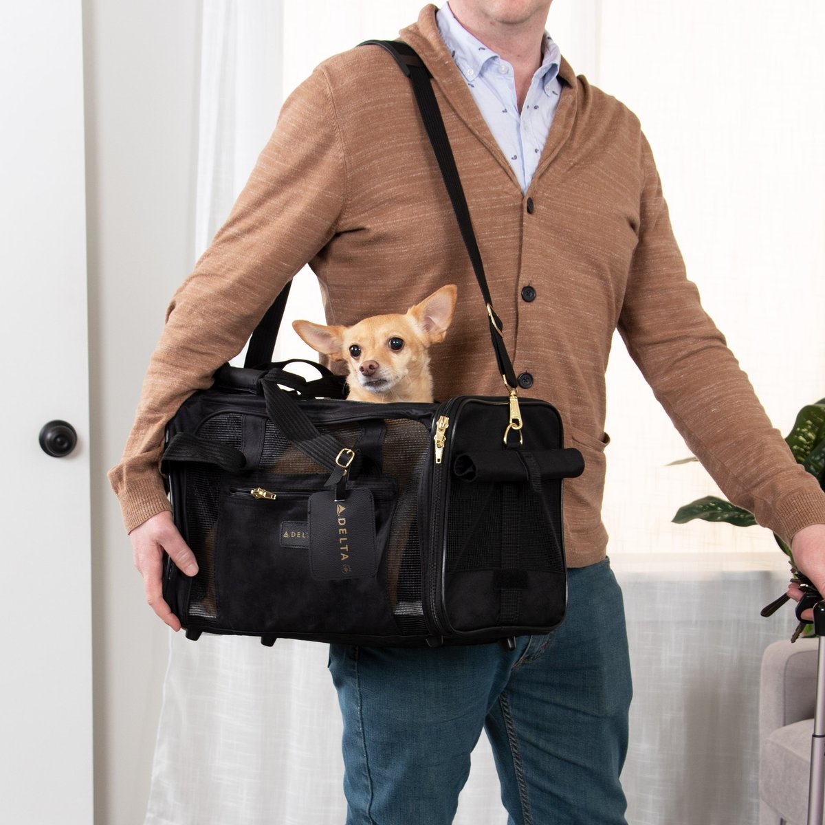SHERPA Delta Airline-Approved Dog & Cat Carrier Bag, Medium - Chewy.com