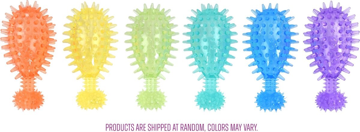 GNAWSOME Spiky Drumstick Squeaky Dog Toy, Medium - Chewy.com