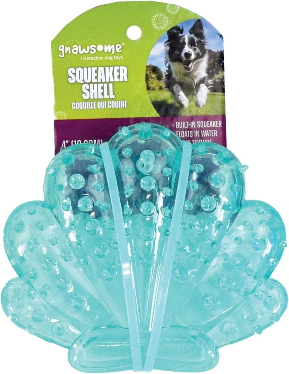 GNAWSOME Spiky Shell Squeaky Dog Toy, Medium - Chewy.com