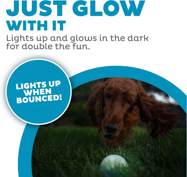 OUTWARD HOUND Orbee-Tuff LED Strobe Ball Tough Dog Chew Toy, White ...