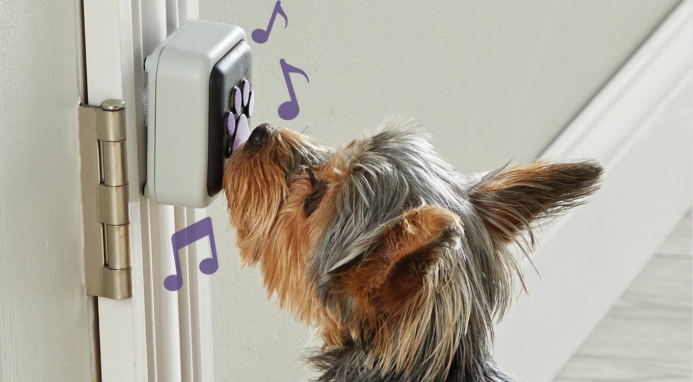 HUNGER FOR WORDS Talking Pet Button Mat Dog Toy - Chewy.com