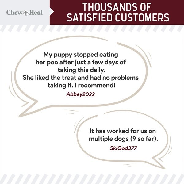 CHEW + HEAL Roasted Lamb Stop The Poo Soft Chew Coprophagia & Digestive ...