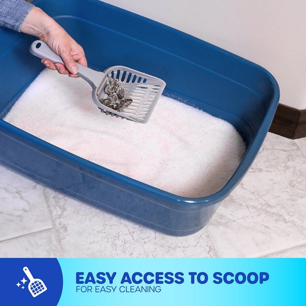 Out of Stock - PETMATE Giant Cat Litter Box - Chewy.com