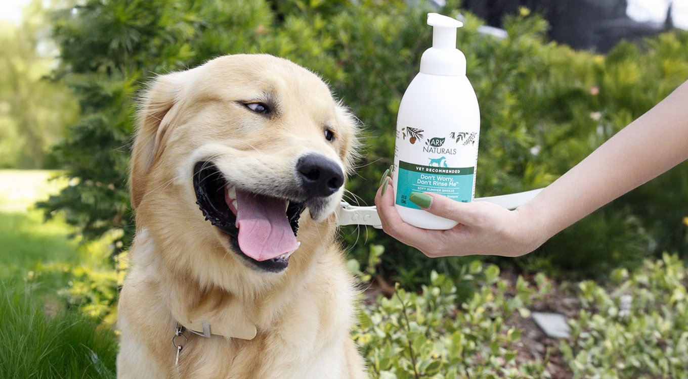 ARK NATURALS Don't Worry Don't Rinse Me Waterless Dog & Cat Shampoo, 18 ...