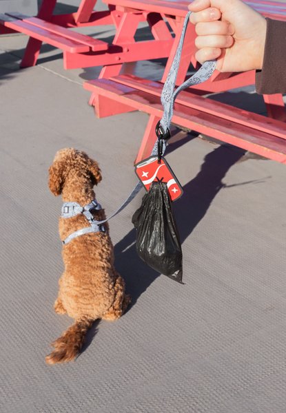 WOOF & WONDER Poopy Loop Soda Pop Dog Poop Bag Dispenser - Chewy.com
