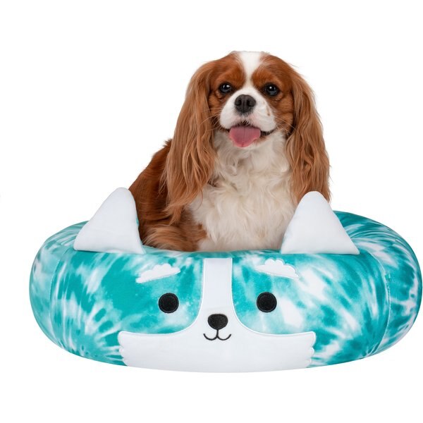 SQUISHMALLOWS Gordon Shark Cat & Dog Bed, Grey, Medium - Chewy.com