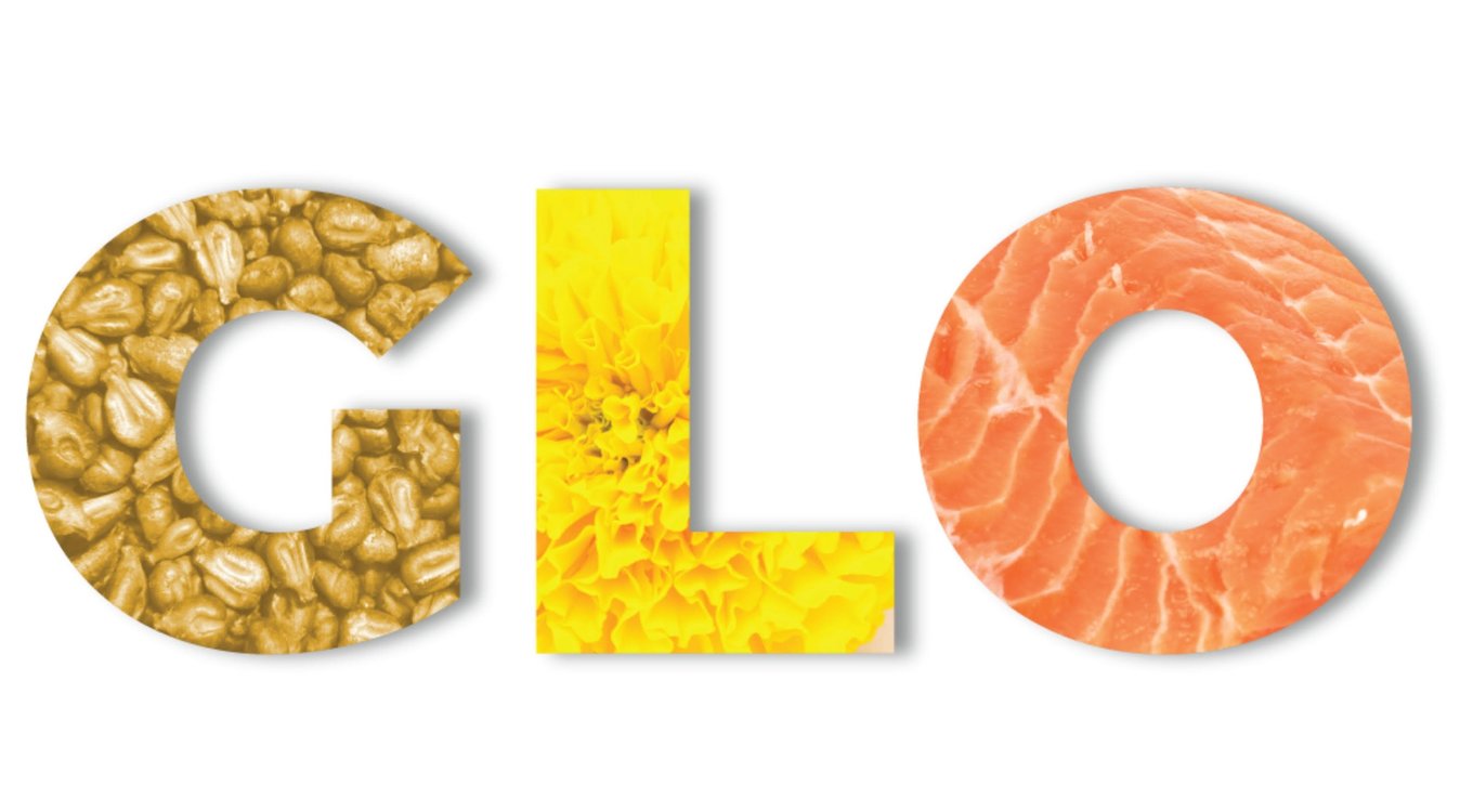 ANIMAL NECESSITY Ocu-GLO Optimal Vision Support Soft Chew Dog & Cat ...