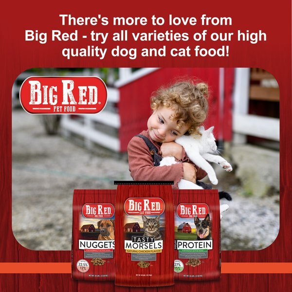 BIG RED Tasty Morsels Dry Cat Food, 20-lb bag - Chewy.com