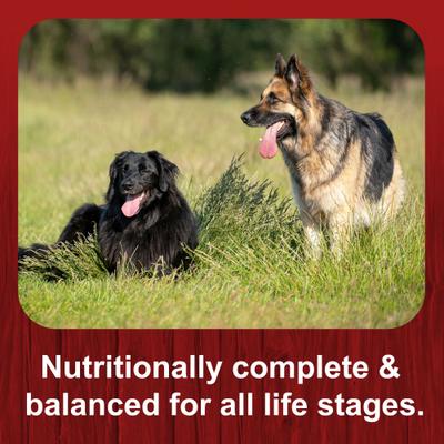 BIG RED Complete Adult Meat Dry Dog Food, 50-lb bag - Chewy.com