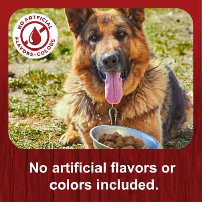 BIG RED Complete Adult Meat Dry Dog Food, 50-lb bag - Chewy.com