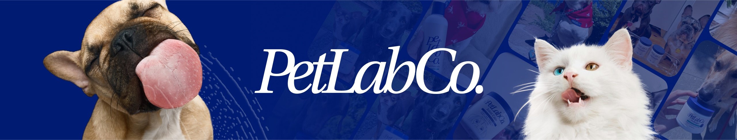 PETLAB CO. Probiotic Pork Flavored Soft Chews Digestive Supplement for ...