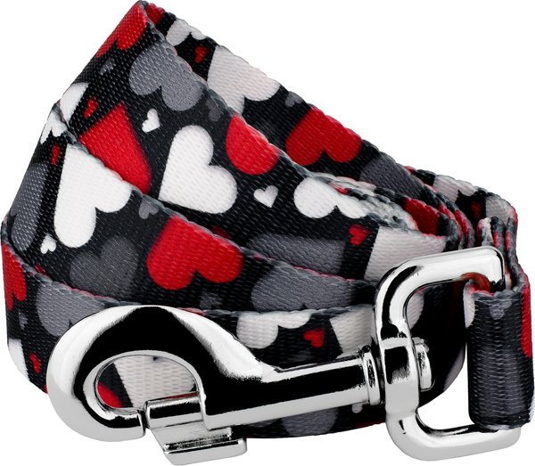 COUNTRY BROOK PETZ Be Mine Dog Leash, Black, Large: 6-ft long, 1-in ...