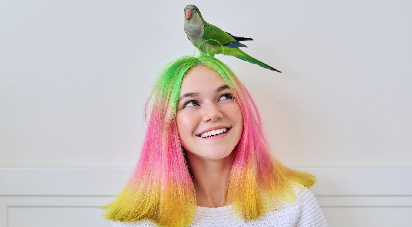 KNUTI Bird Cage Corner Perch Ladder Platform - Chewy.com