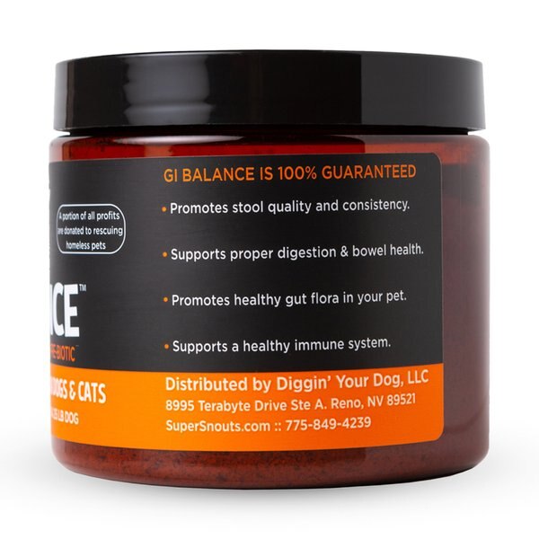 SUPER SNOUTS G.I. Balance Digestive Support Dog & Cat Supplement, 3.1 ...